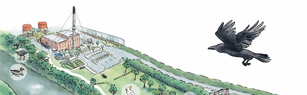 Bird watching walking tour | Liverpool Powerhouse